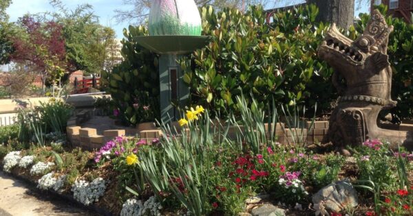 A Walk Through the Asian Gardens – DDA