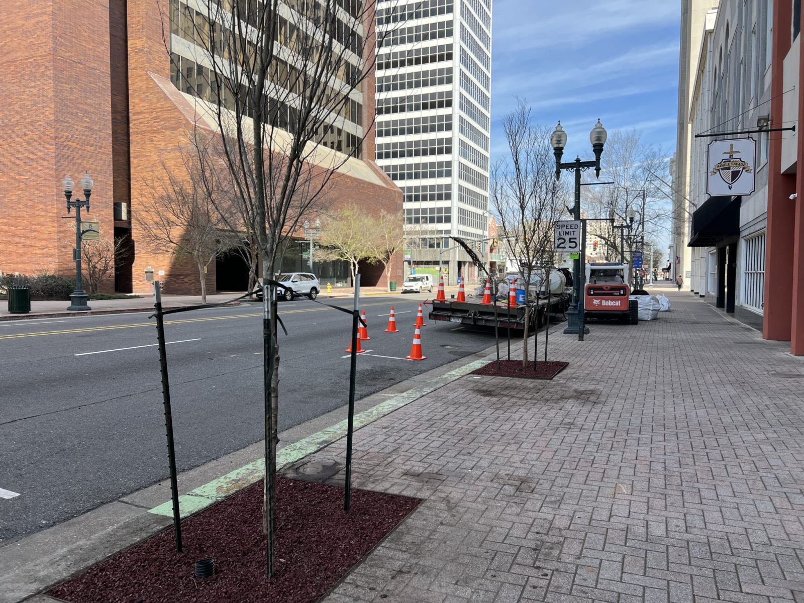 Tree Planting Underway! – DDA